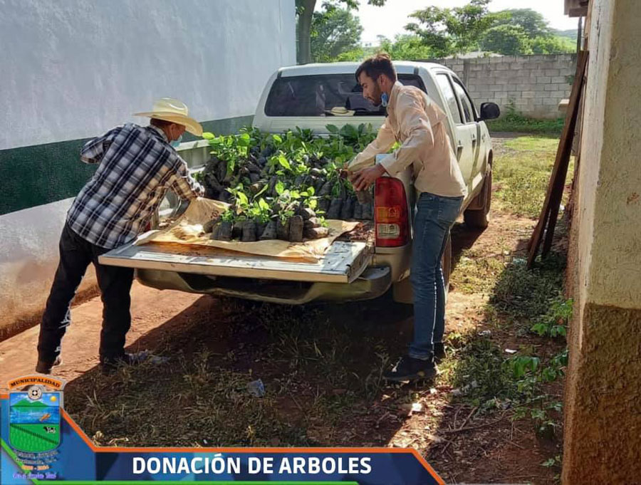 Donación de árboles forestales – Municipalidad de Pasaco